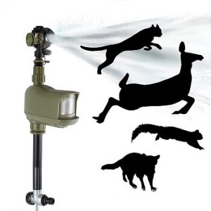 9 Best Motion Activated Sprinkler for Cats [ 2021 Top rated ...