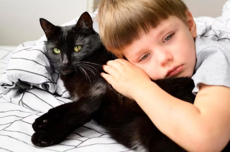 How to Stop Cat Aggression Toward Humans - American Cat