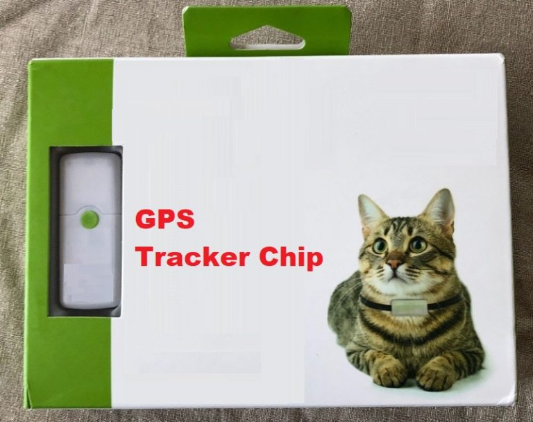 Is there a GPS Chip for Cats? - American Cat